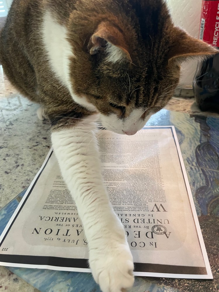The Declaration of Independence – What the Cats Are Reading
