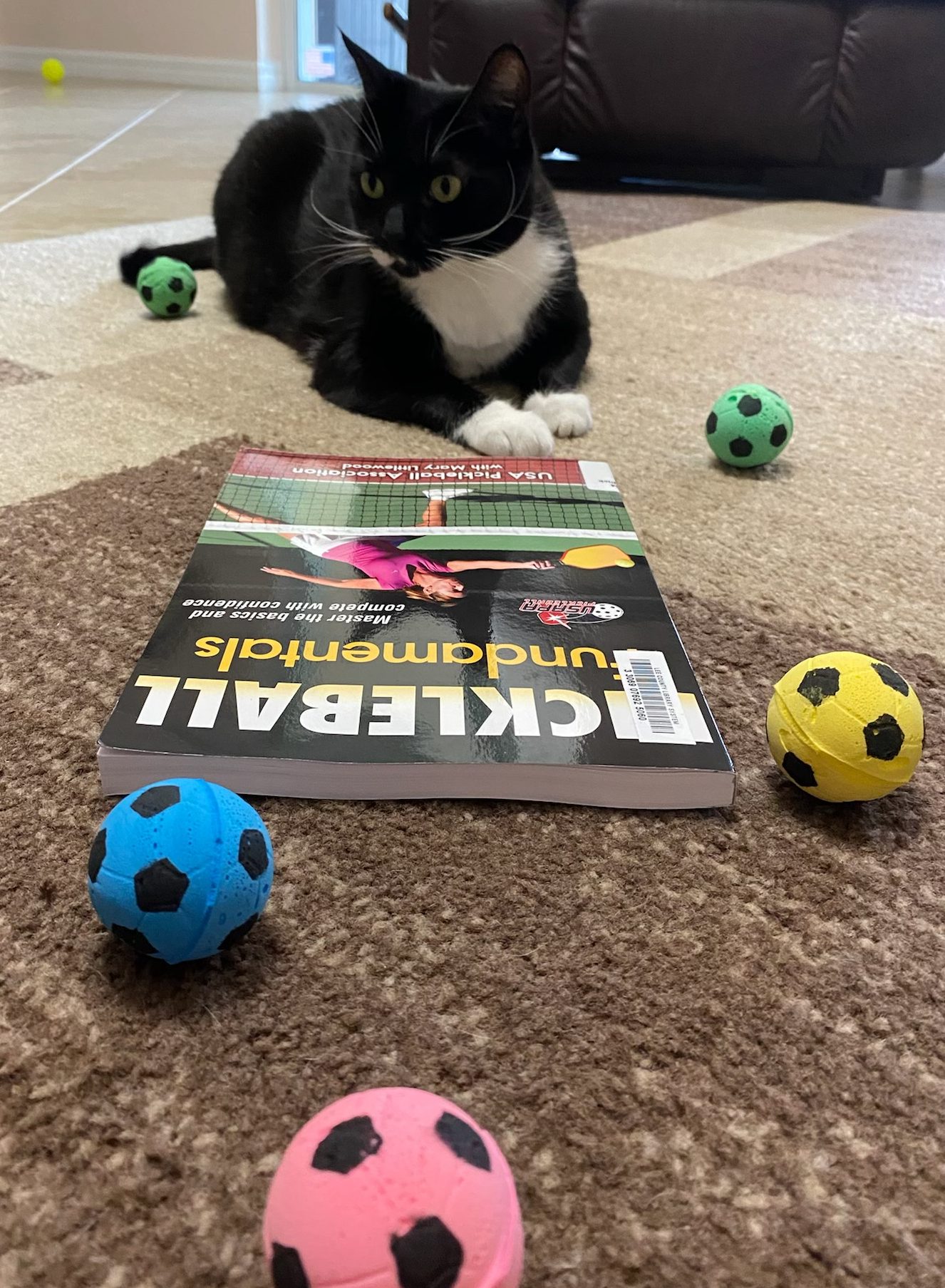 Pickleball, Kitty? – What the Cats Are Reading