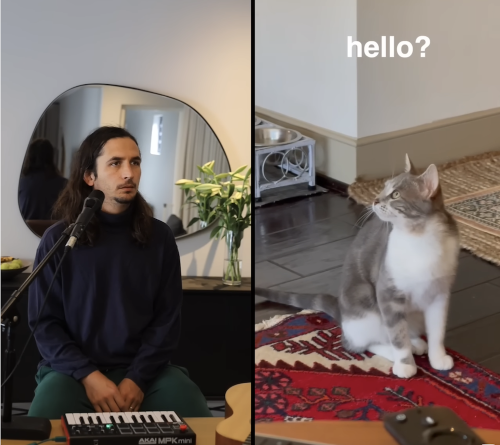 What the Cats Are Singing – What the Cats Are Reading