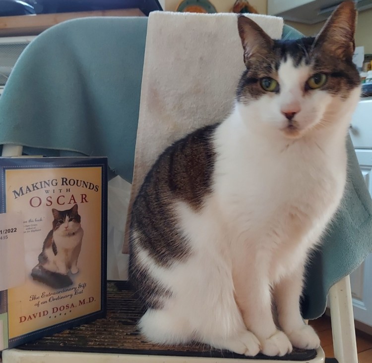 Missives from the Messenger Cat Café – What the Cats Are Reading